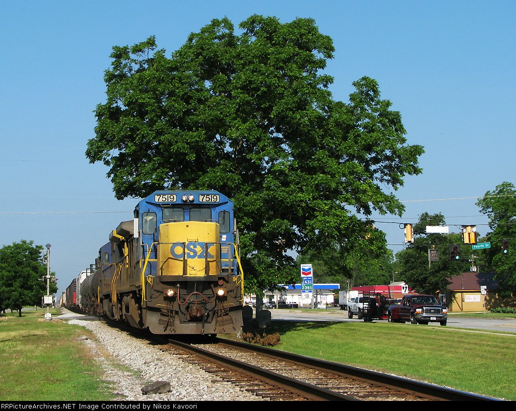 CSX Q614 rumbles under the big tree